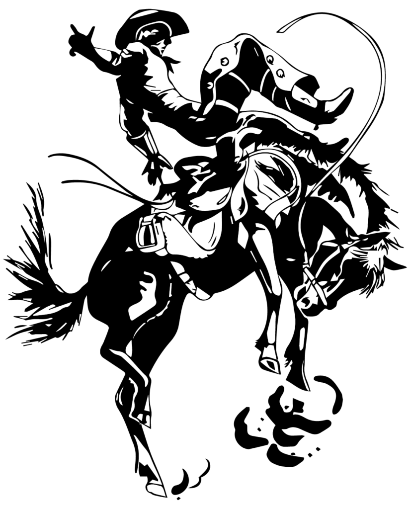 2020 Sponsorship – Newberg Baseball